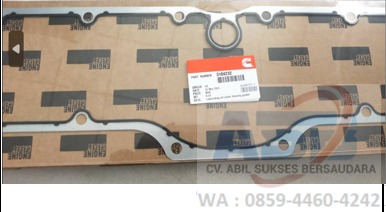 WhatsApp Image 2024-07-06 at 11.48.36